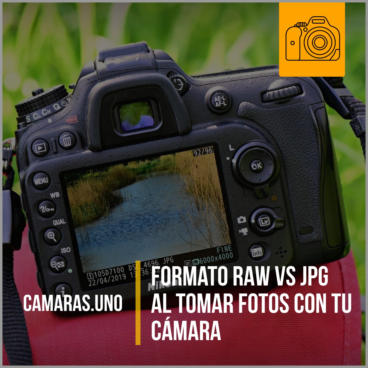 RAW vs JPEG: razones para tomar fotos en formato JPEG frente a RAW